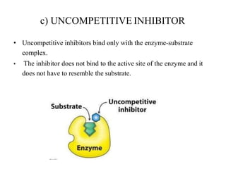 Enzymes | PPT