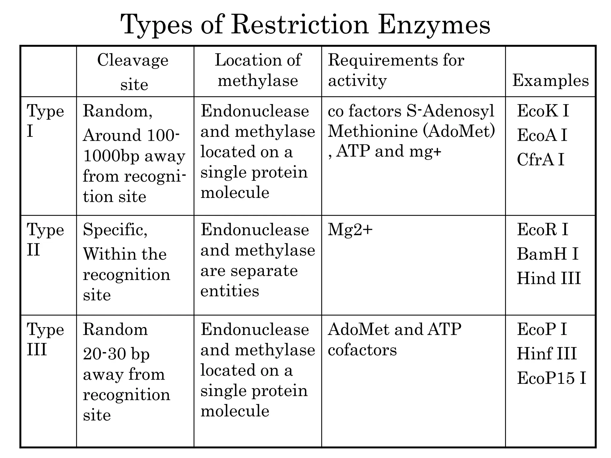 Enzymes.pptx