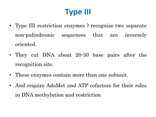 Enzymes.pptx
