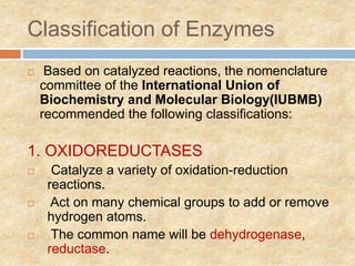 enzymes.pptx | Chemistry | Science