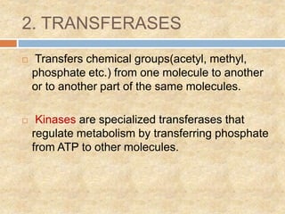 enzymes.pptx | Chemistry | Science