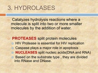 enzymes.pptx
