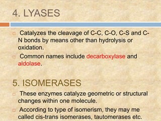 enzymes.pptx