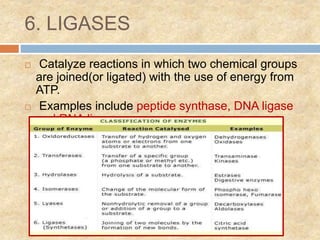 enzymes.pptx | Chemistry | Science