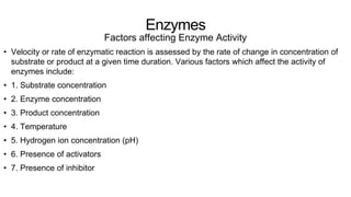 Enzymes.pptx | Chemistry | Science