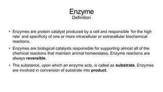 Enzymes.pptx | Chemistry | Science