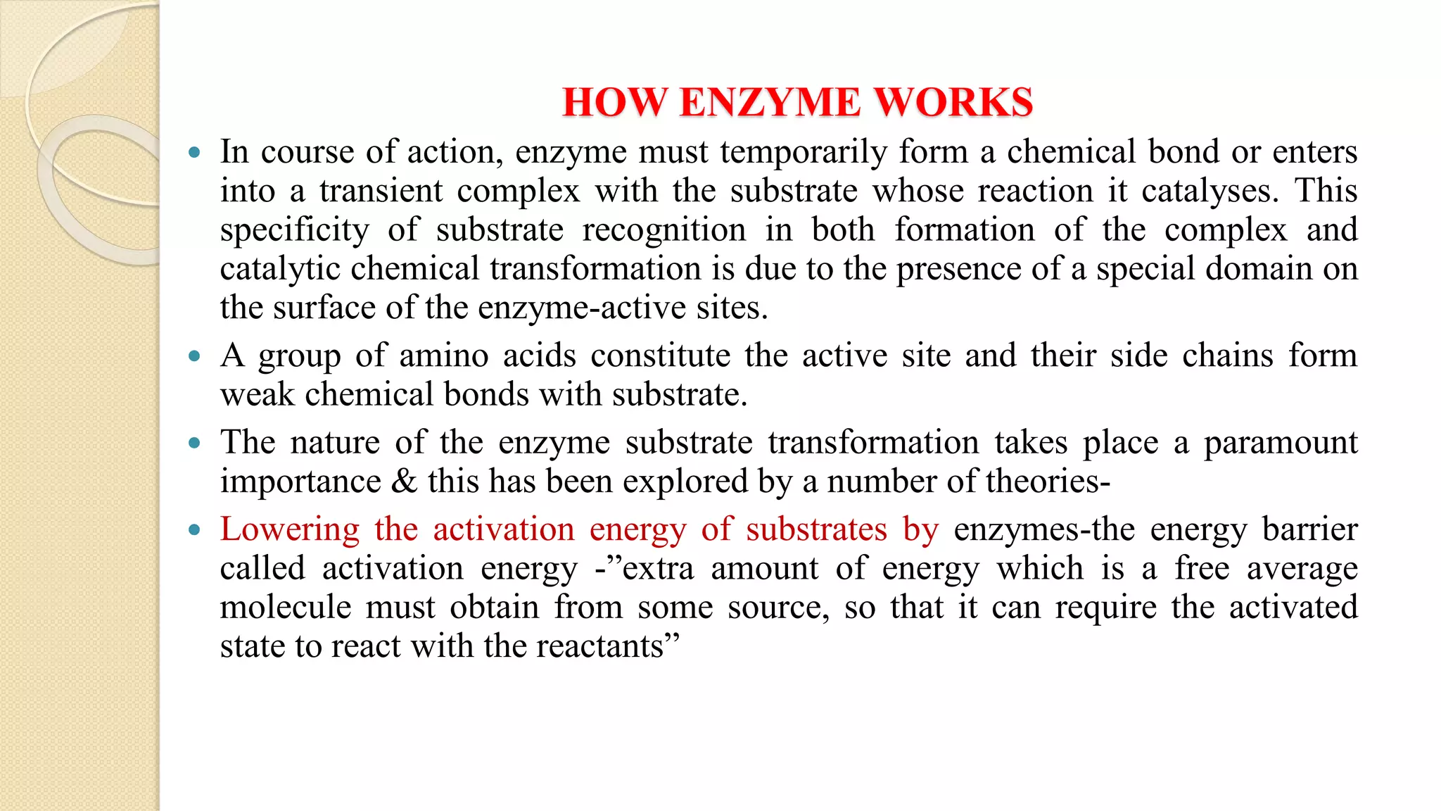 Enzymes- Overview | PDF