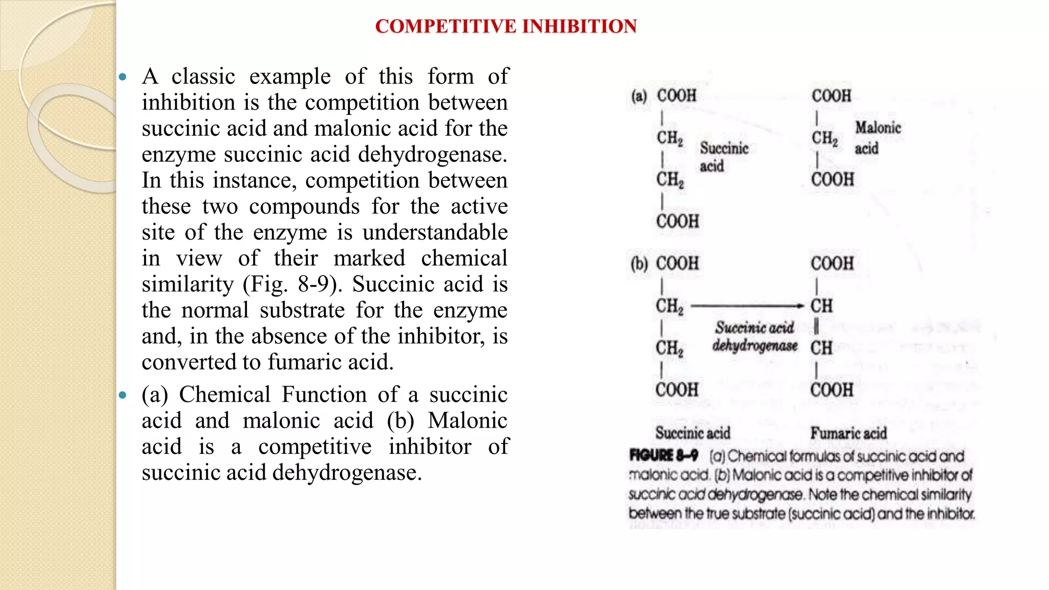Enzymes- Overview | PDF