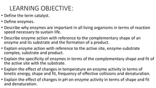 ENZYMES.pptx