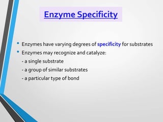 ENZYMES, TYPE OF ENZYME, ENZYME SPECIFICITY INTRODUTION | PPT
