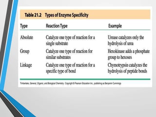 ENZYMES, TYPE OF ENZYME, ENZYME SPECIFICITY INTRODUTION | PPT
