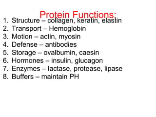 Enzymes.ppt