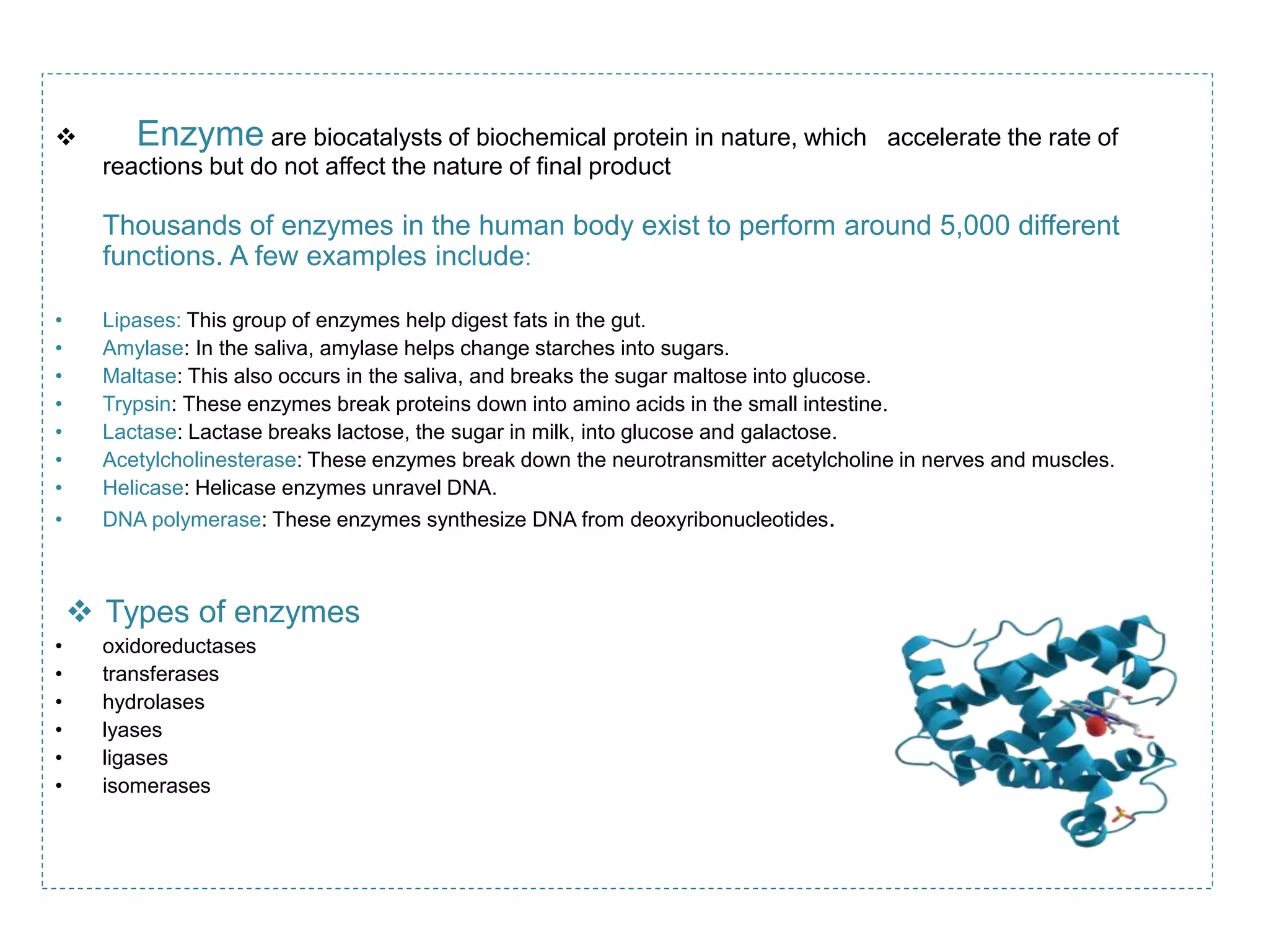 Enzymes 'Liver Enzymes' | PPTX