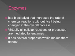 ENZYMES.pptx