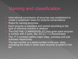 ENZYMES.pptx
