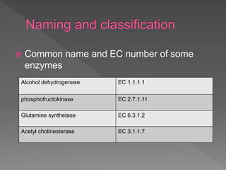 ENZYMES.pptx