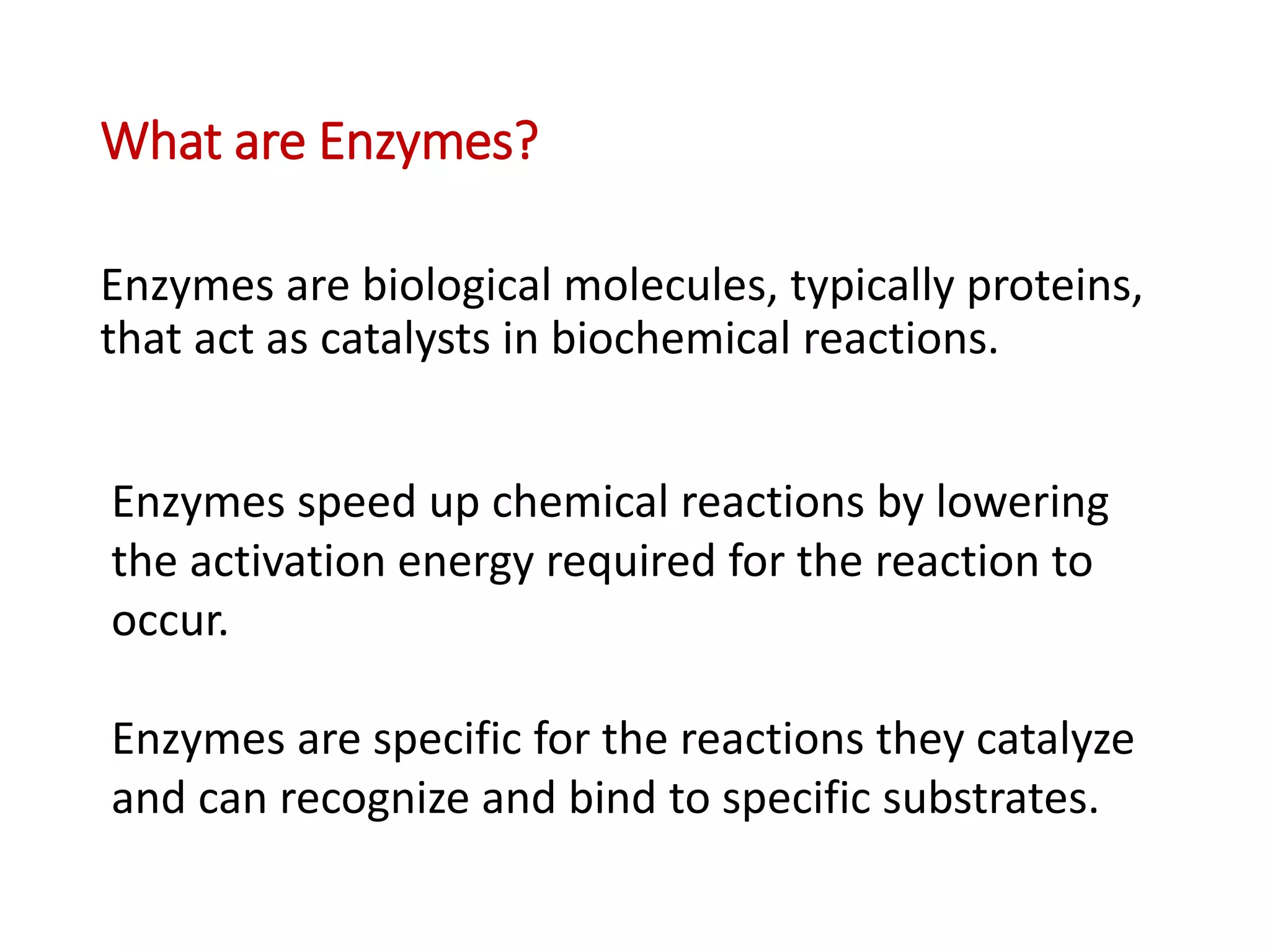 ENZYMES.pptx
