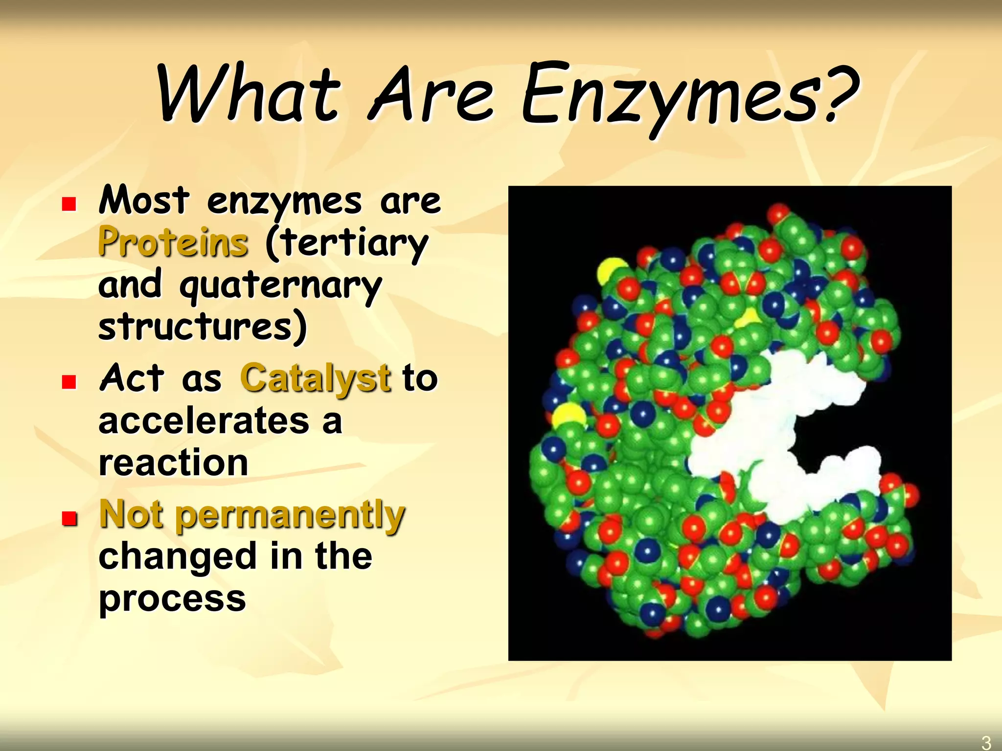 ENZYMES.ppt