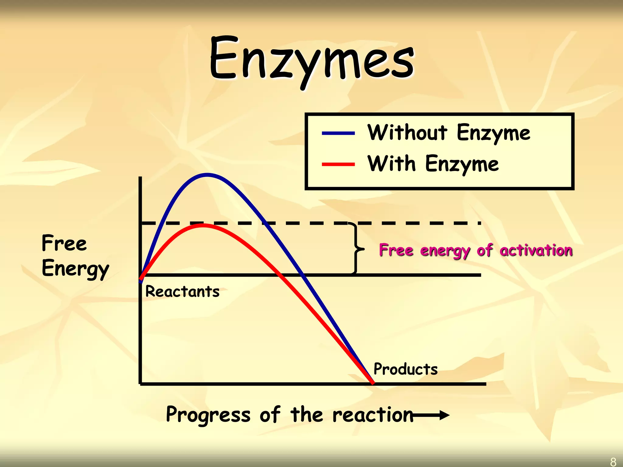 ENZYMES.ppt