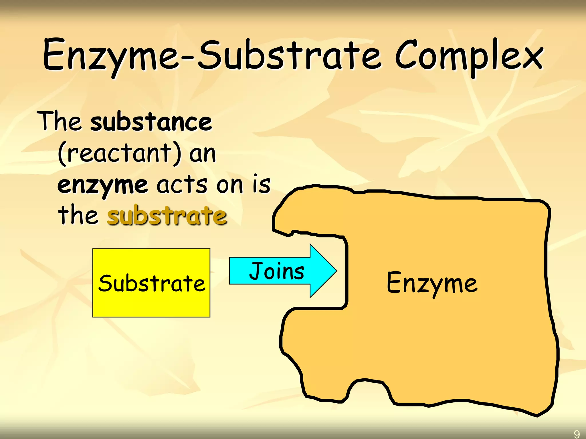 ENZYMES.ppt