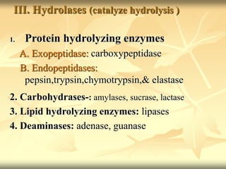 ENZYMES.ppt