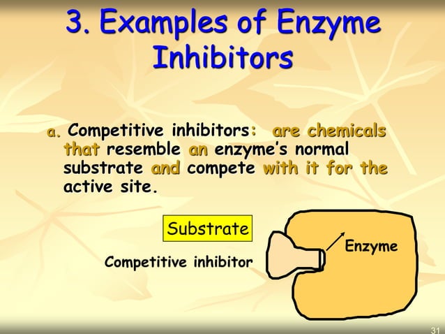 ENZYMES.ppt