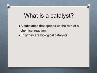 Enzymes.pptx