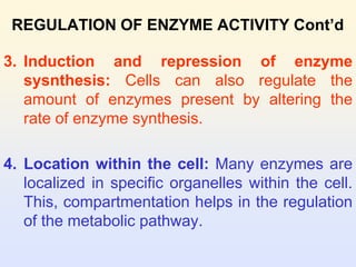 Enzymes.ppt