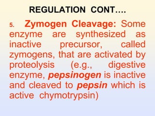 Enzymes.ppt