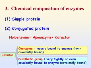 Enzymes.ppt