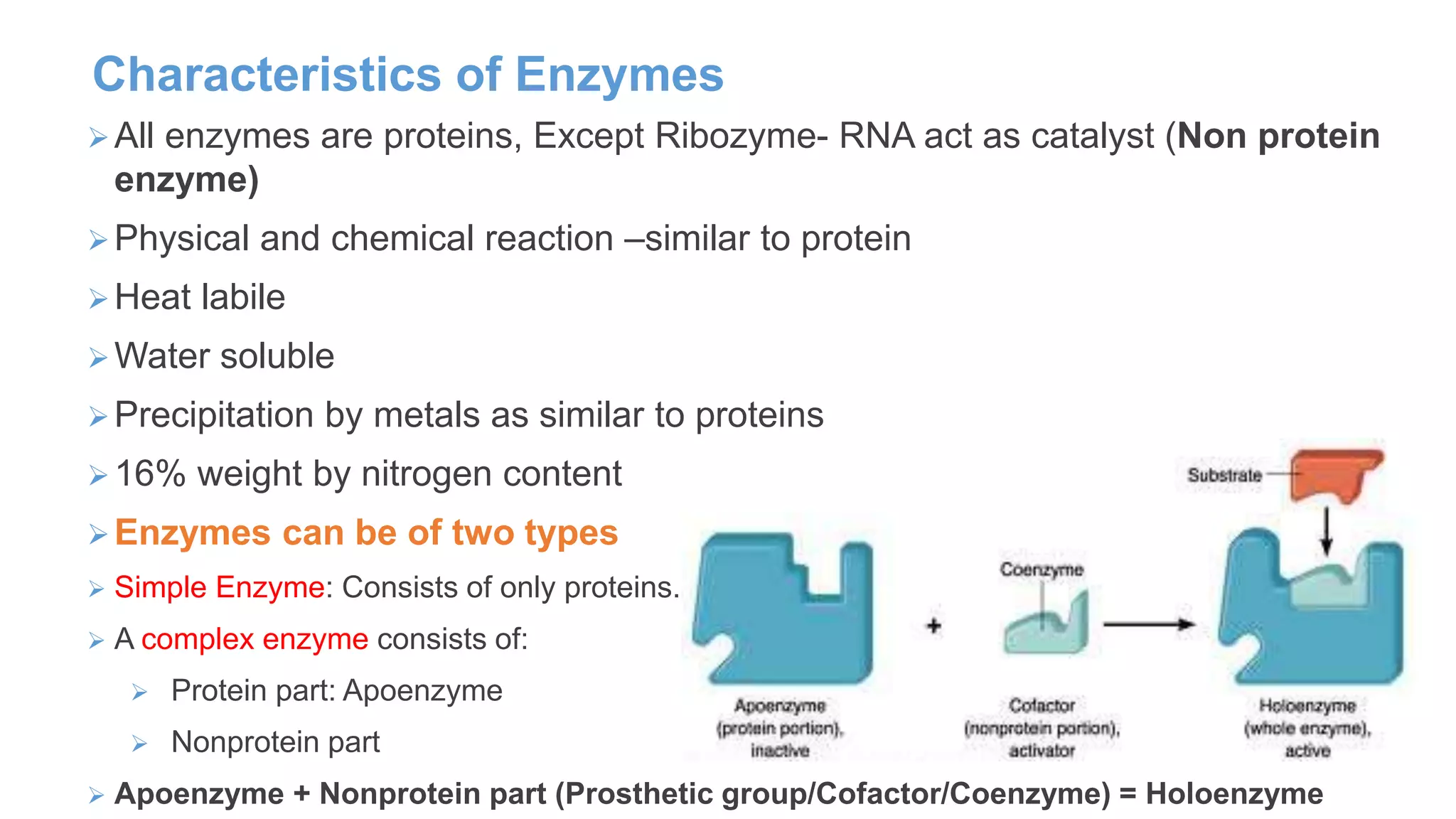 Enzymes.pptx | Chemistry | Science