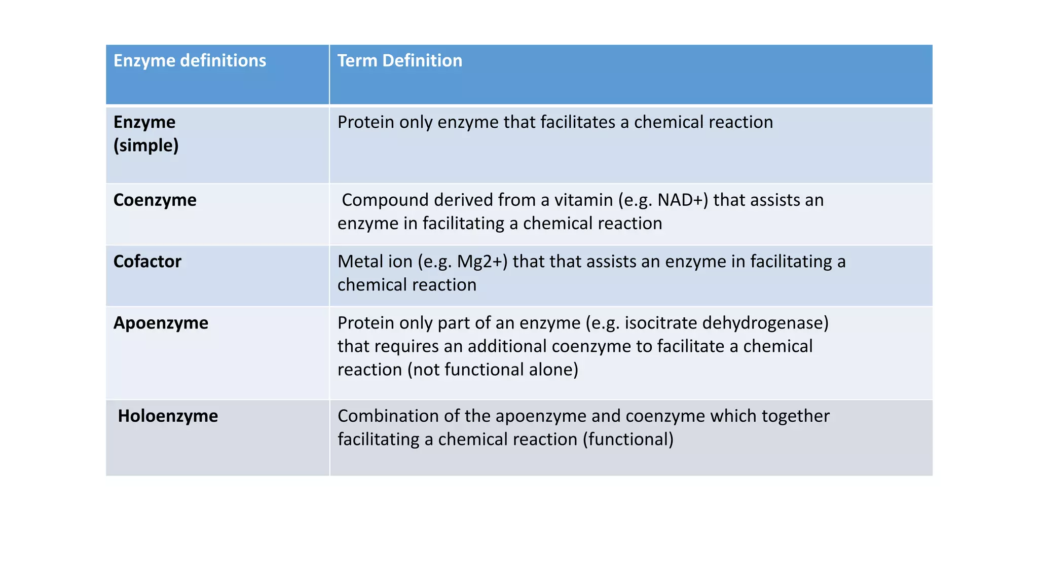 Enzymes.pptx | Chemistry | Science