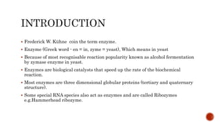 enzymes.pptx