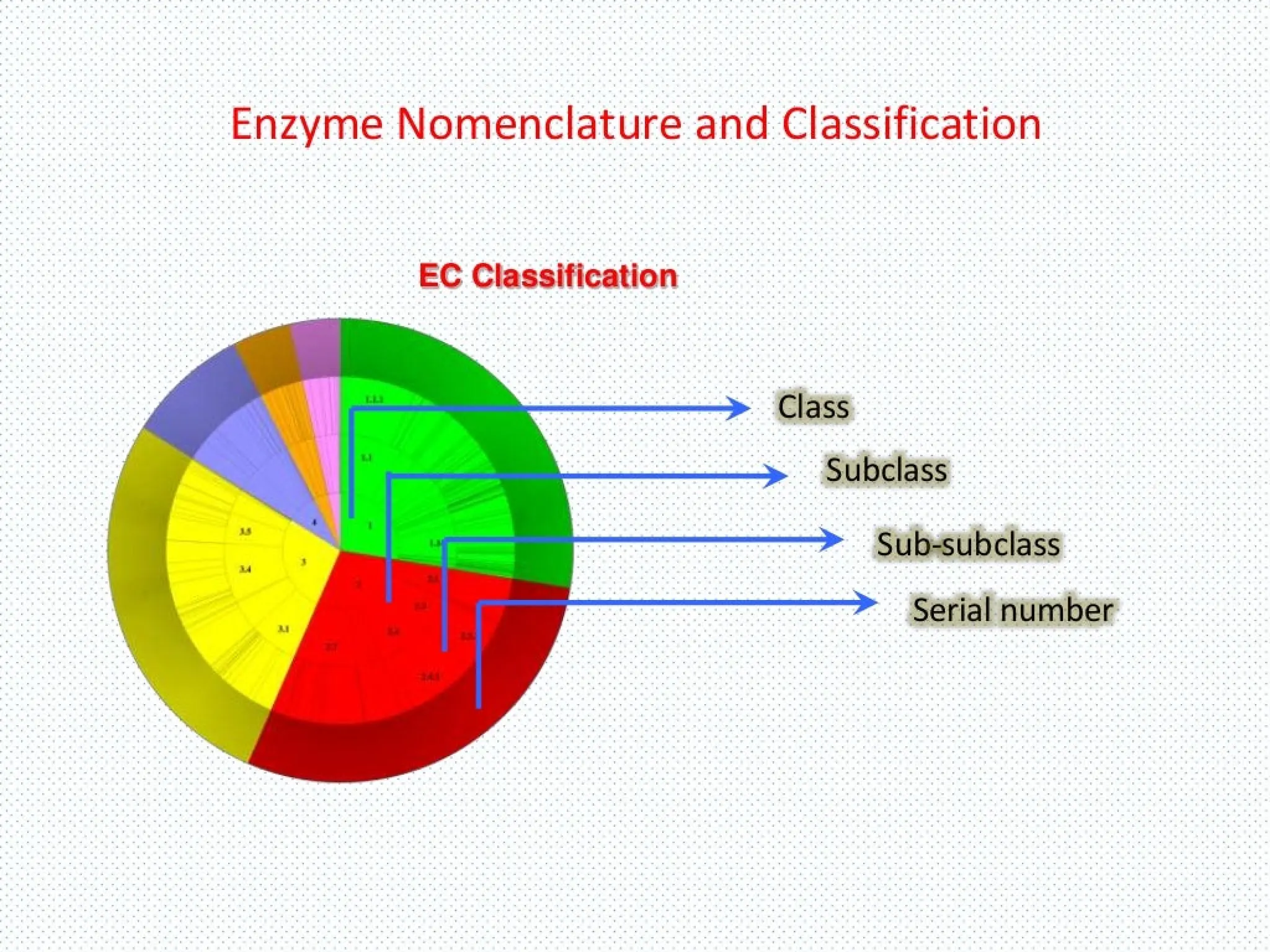 Enzymes for Biochemical Engineering students. this chapter is about ...