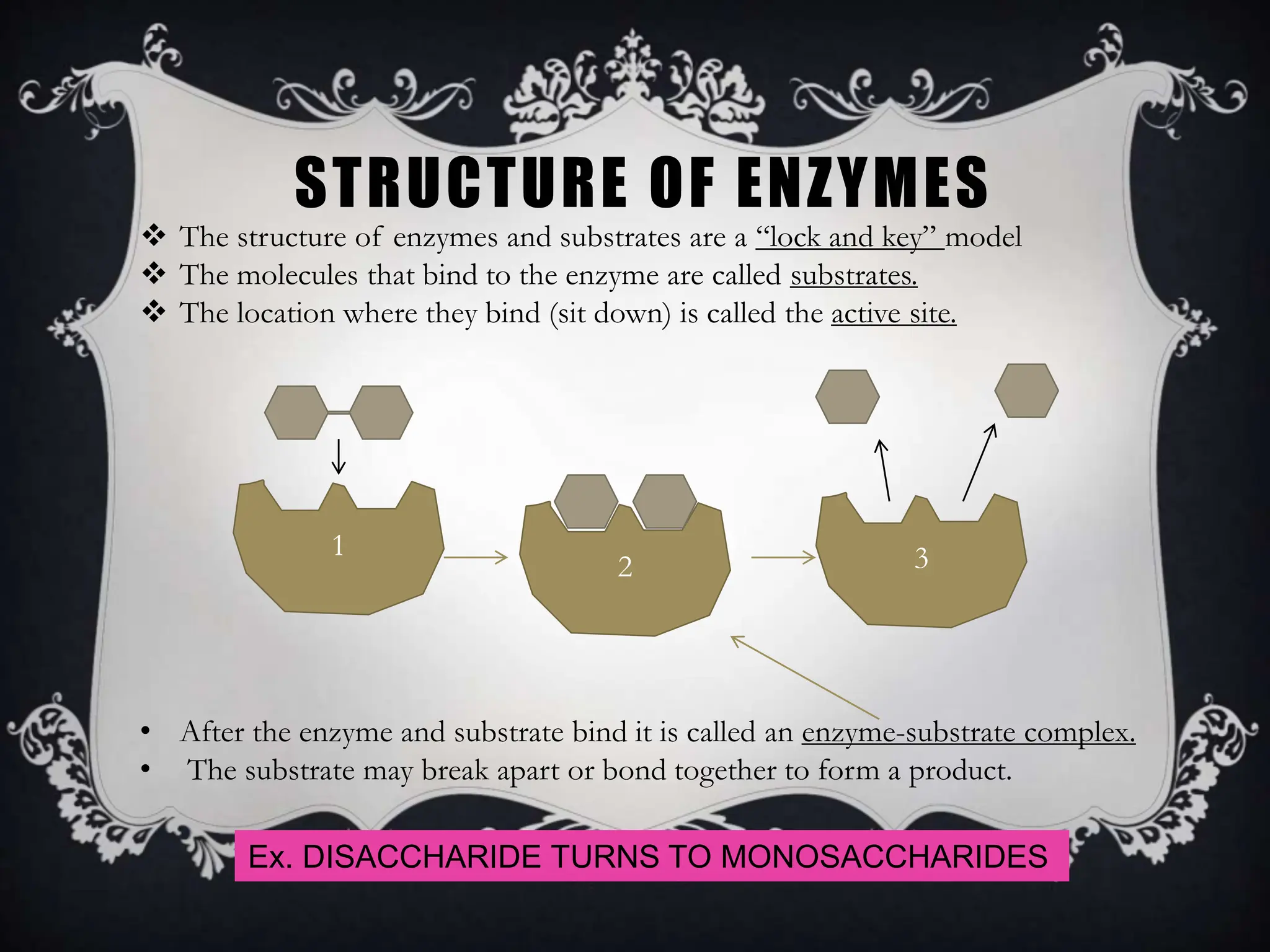 Enzymes Properties and Uses- For Grade 9 | PPT