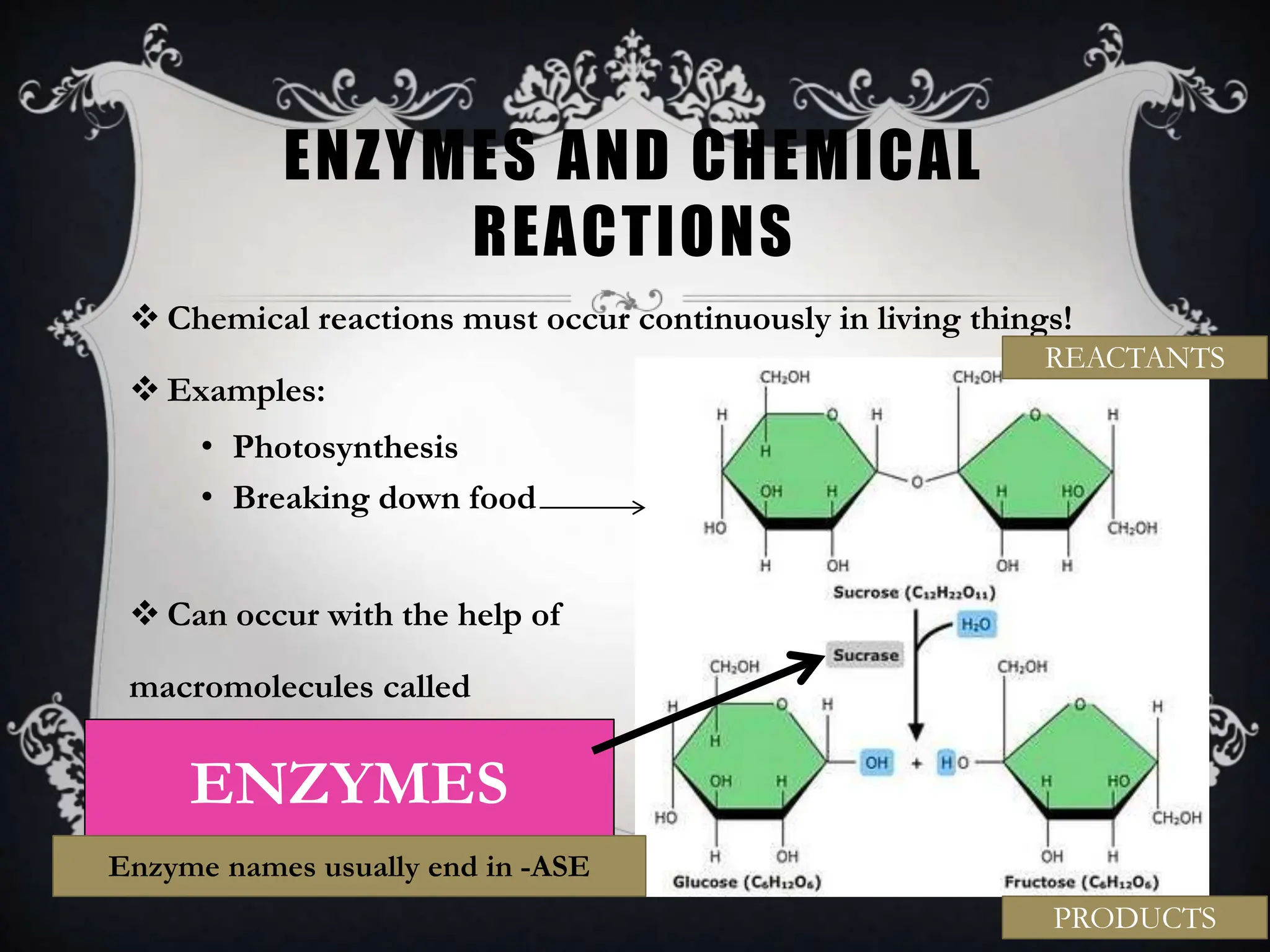 Enzymes Properties and Uses- For Grade 9 | PPT