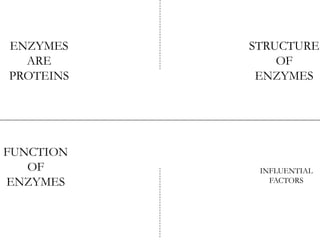 Enzymes Properties and Uses- For Grade 9 | PPT