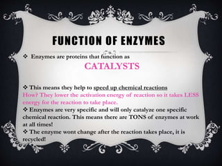 Enzymes Properties and Uses- For Grade 9 | PPT