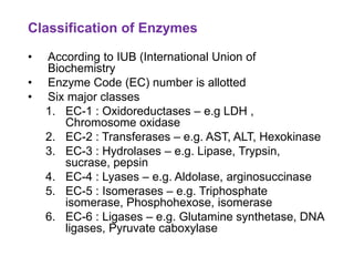 Enzymes.pptx