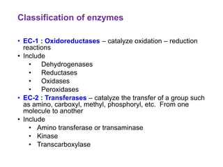 Enzymes.pptx