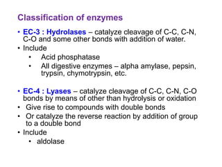 Enzymes.pptx