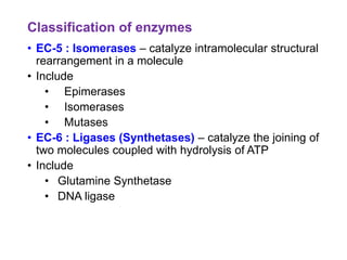 Enzymes.pptx