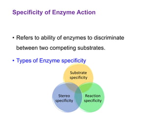 Enzymes.pptx