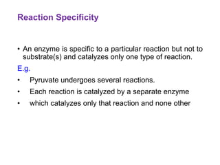 Enzymes.pptx