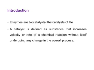 Enzymes.pptx