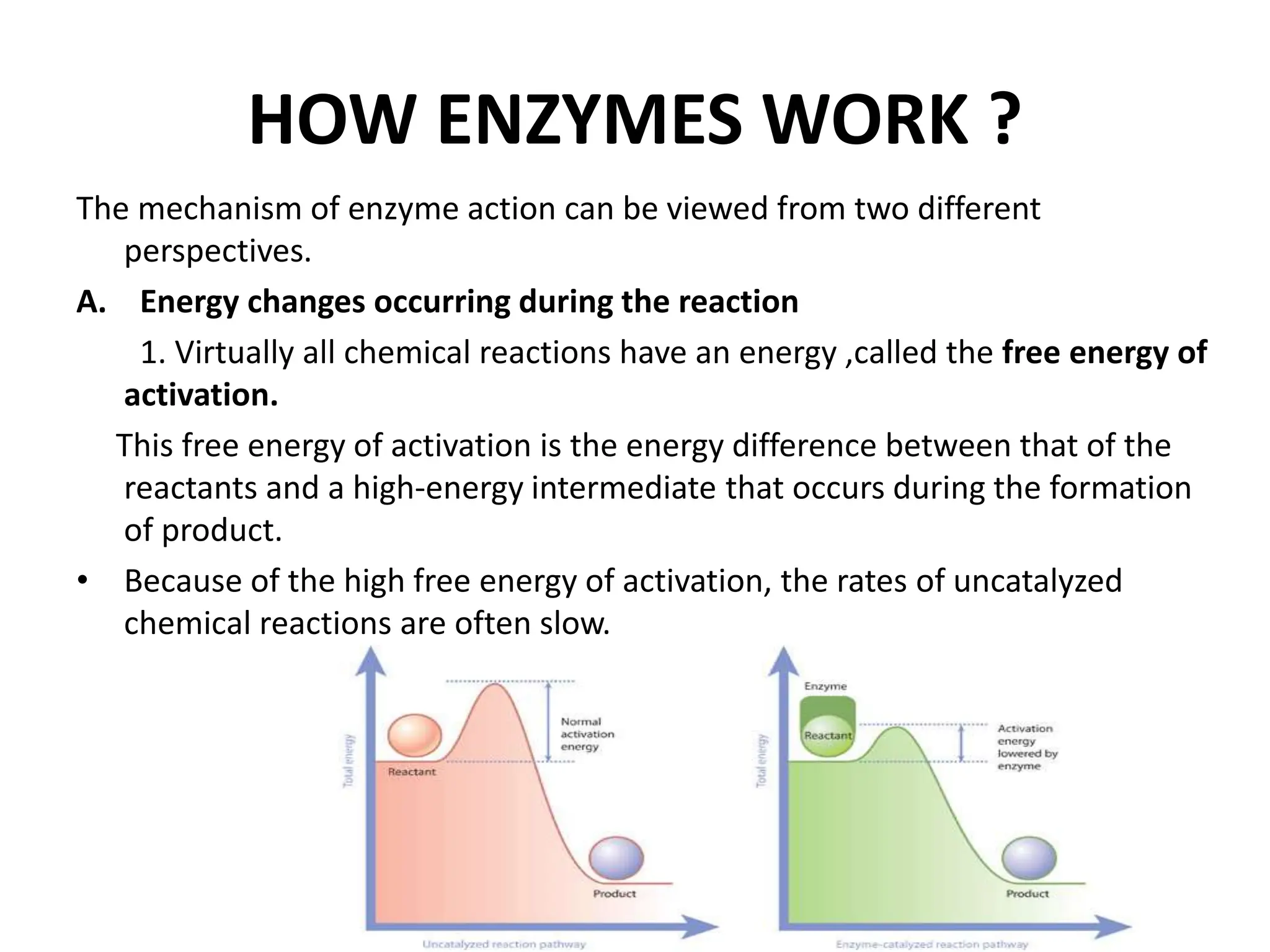 Enzymes definition and classification introduction .pptx