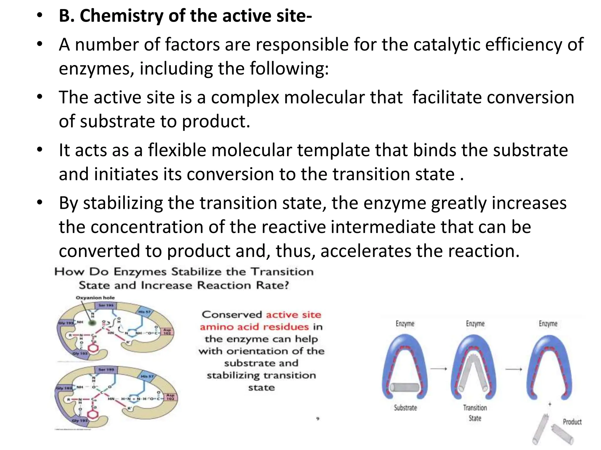 Enzymes definition and classification introduction .pptx