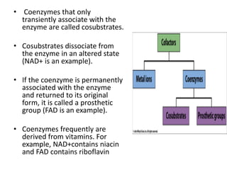 Enzymes definition and classification introduction .pptx