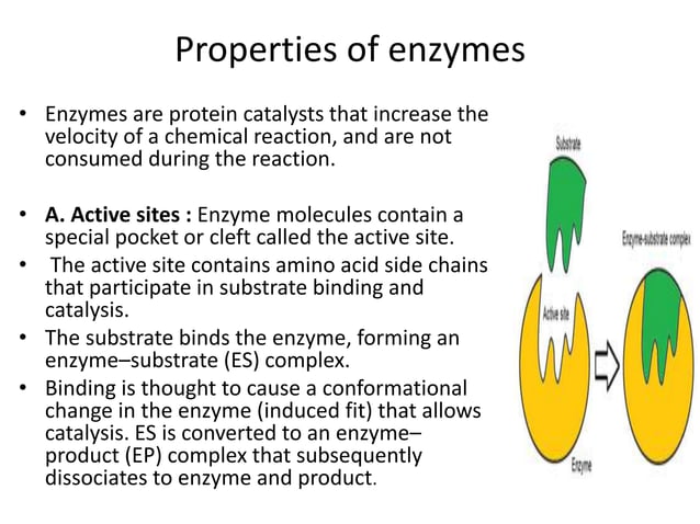 Enzymes definition and classification introduction .pptx