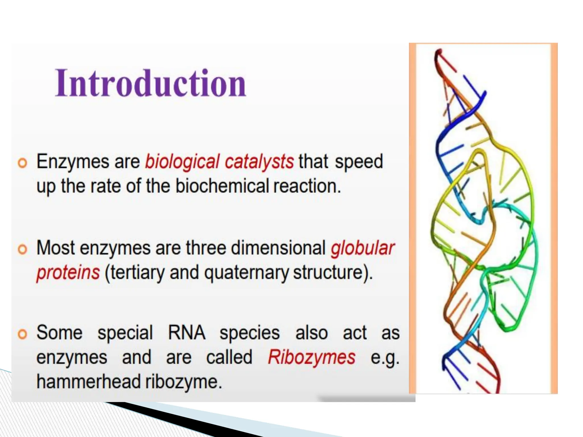 Enzymes.pptx.pdf its chapter of enzyme . | PPT